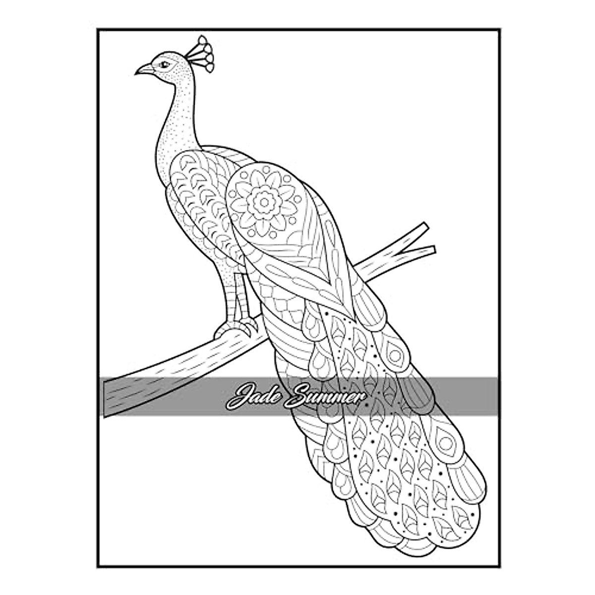 100 Animals: An Adult Coloring Book with Lions, Elephants, Owls, Horses, Dogs, Cats, and Many More!