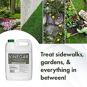 Vinegar Weed & Grass Killer with Sprayer – Weed & Grass Killer Approved for Organic Production | Pet Safe | Glyphosate Free Herbicide - 1 Gallon with Sprayer