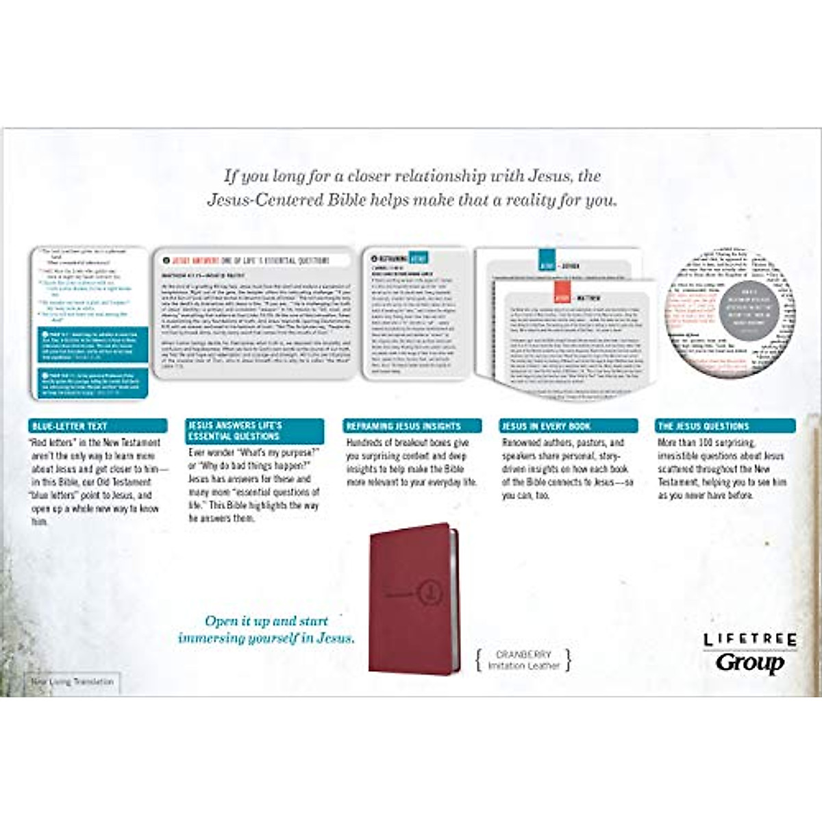 Jesus-Centered Bible NLT, Cranberry