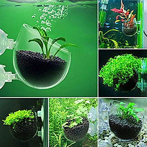 DGZZI Crystal Glass Aquatic Plant Pot Aquarium Aquatic Planter Holder with 3PCS Suction Cups for Fish Tank Aquarium Decoration
