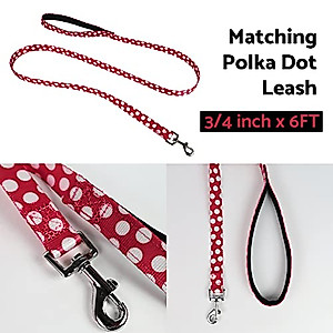 Fitwarm Dog Harness Dress with Leash Set, Christmas Dog Clothes for Small Dogs Girl, Cat Winter Apparel, Red, X-Small