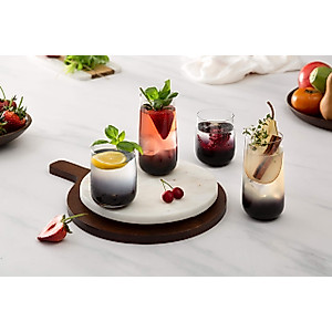 JoyJolt Black Swan Rocks Glass And Highball Glass Collection,Premium Crystal Glassware, Set Of 8