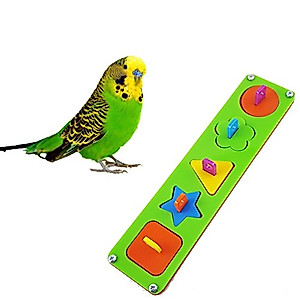 Hypeety Bird Intelligence Training Toy Puzzle Building Blocks for Parrot Macaw African Greys Budgies Parakeet Cockatiel Conure Amazon Cage Toy