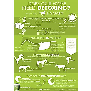 Hygain Safeguard EQ (14.8 oz)