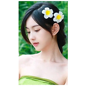 HipGirl 2.5" Hawaiian Hair Flower Clip Hair Barrettes for Women Match Hawaiian Dresses for Women Luau(6pc Cute Hair Clips for Thin Hair,Hair Clips for Girls Plumeria Hawaii Hair Accessories for Women)