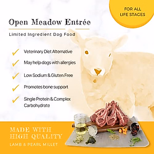 Canine Caviar Open Meadow Dog Food – Limited Ingredient Alkaline Holistic Dog Food – All Life Stages – Gluten Free, Ultra-Premium Dog Food – Healthy Skin & Coat – Lamb & Pearl Millet – 22 lbs