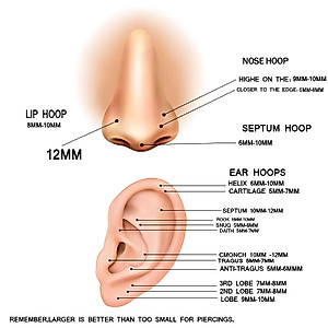 BCBODYG23 Piercing Heart-shaped Nose Ring Titanium Daith Earring Hoop Solid G23 Cartilage Tragus Helix Rings 16G (8mm, No Synthetic Zirconia)
