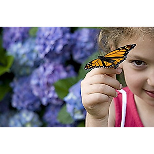 Garden Innovations HB1000 10-Inch by 10-Foot Roll Out Flowers, Butterfly Hummingbird Garden