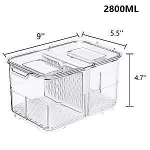 blitzlabs Lettuce Keeper Fridge Food Storage Container, Fresh Produce Saver Organizer Keeper Bins with Lids and Removable Drain Tray for Refrigerator Freezer Cabinet Kitchen 2800ML, 2 Pack