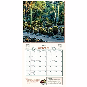 Secret Garden Wall Calendar 2022: A year of photographs that transport you to a garden sanctuary.