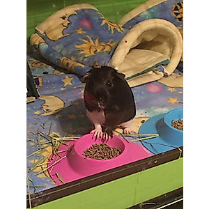 STAYbowl Tip-Proof Ergonomic Pet Bowl for Guinea Pig and Other Small Pets, 1/4-Cup Small Size, Lilac (Purple)