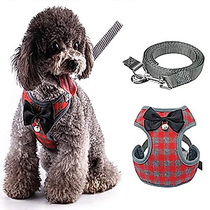Pet Harness and Leash Set for Walking Small Cat and Dog Harness, Escape Proof Soft Vest Harnesses with Bell Bow, Easy Control Breathable Pet Safety Jacket & 1 Metal Leash Ring