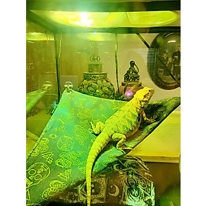 Familite PAR38 Halogen Flood Light Bulbs 75W 1000LM Dimmable Warm White for Reptiles Heating and 6” Recessed Cans Flood Lighting Indoor Outdoor, 4pcs Packed