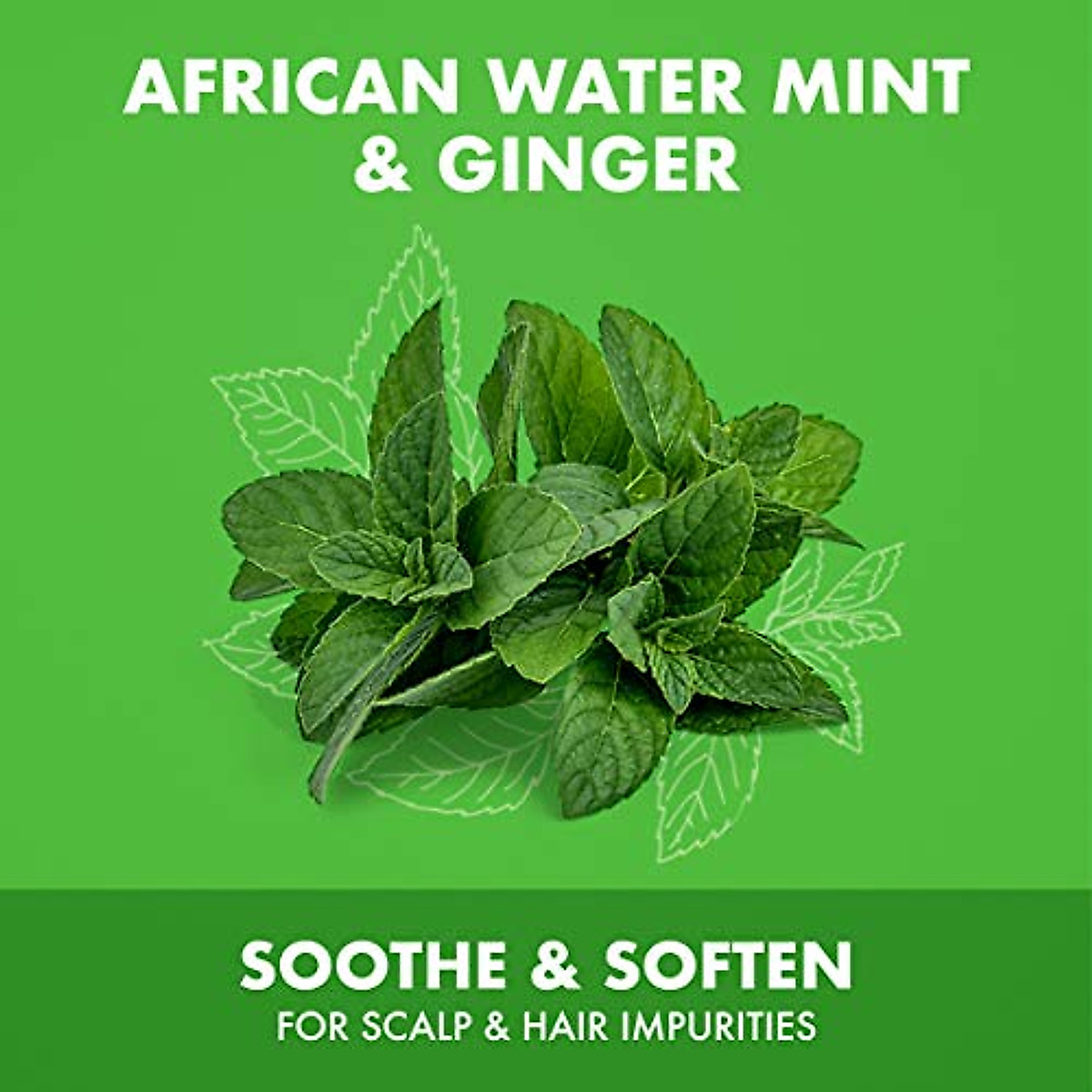 SheaMoisture Hair & Scalp Clarifying Conditioner for Curls African Water Mint Paraben Free 13 oz