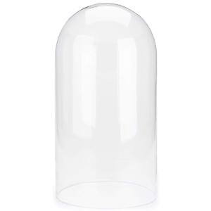 Displays2go Large Glass Dome Display with Baseless Design, 12" x 24" — Clear (DCGDOMEL)