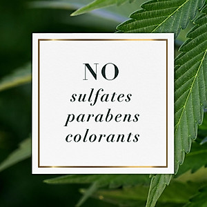 Herbal Essences Bio:Renew Sulfate Free Hemp + Potent Aloe Shampoo and Conditioner Set, 13.5 Fl Oz Each — Nourishes Dry Hair for Frizz Control, Paraben Cruelty Safe Color Treated (Pack of 1)