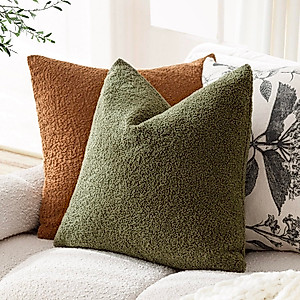 Foindtower Pack of 2, Curly Faux Fur Decorative Throw Pillow Covers Soft Plush Cushion Case with Zipper Cozy Fluffy Boho Pillowcase for Home Living Room Couch Bed Sofa 18 x 18 Inch, Moss Green