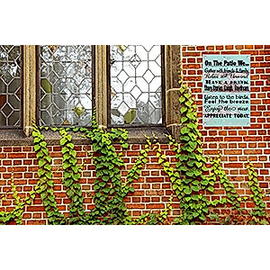 Nedil Outdoor Patio Rules Metal Signs Farmhouse Retro Home Tin Plaque Wall Decor Aluminum Poster 8x12 Inch blue