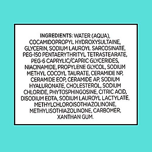 Equate Beauty Foaming Facial Cleanser, Normal to Oily Skin, 12 fl oz