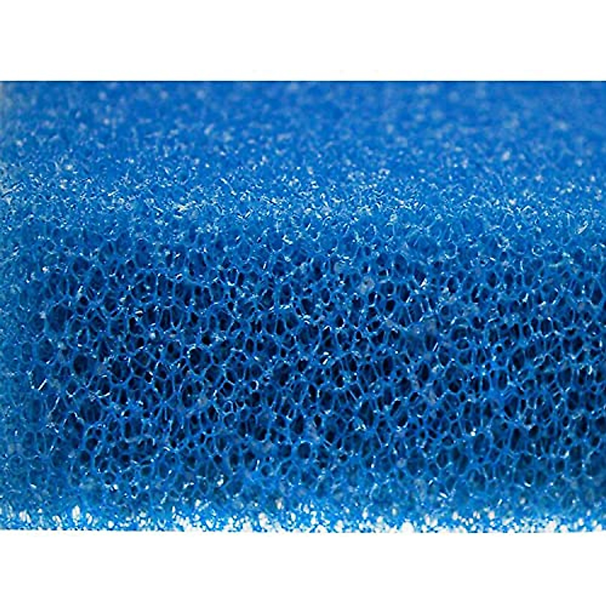 ViaAqua Aquarium Filter Sponge Open Cell Foam Sheet Bio Sponge Filter Media Pad HMF Fish Tank Sump Divider 12" x 12" x 2" (Blue, 20PPI)