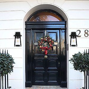 MONKFISH 2462-1W Black Quartet Design Outdoor Wall Light with Clear Glass Lamp Shade, Good Lamp Fixture for Porches, Gardens, Terraces, Garages, Corridors and Balconies (2-Pack)