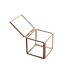 Feyarl Tiny Clear Glass Jewelry Trinket Box Ornate Rings Earrings Shadow Organizer Treasure Chest Decorative Keepsake Case with Lid for Wedding Birthday Gift (Brass)