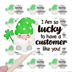 240 PCS Lucky Mail Patrick's Day Stickers,Cute Small Business Envelopes Stickers for Business Packages/Handmade Goods/Bags,Patrick's Day Theme Small Shop Business Stickers for Envelopes Seals