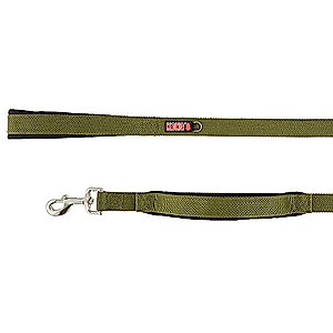 KONG Traffic Handle Quick Control Leash (Green)
