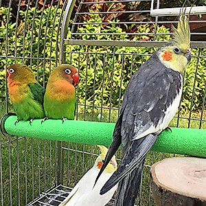 3 Pcs Bird Cage Perch Parrot Parakeet Perches, Colorful Wood Bird Stand Toy Bird Cage Sticks Accessories Supplies for Amazon Parrots, Conures, Cockatiel, Parakeet