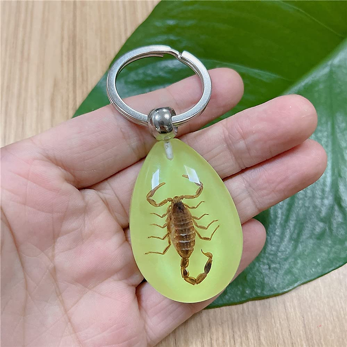 QTMY 6 Pack Insect in Resin Specimen Collection Luminous Glow in The Dark Keychain Keyring ,Halloween Christmas Science Classroon Decor Kits Set Education