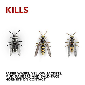 Raid Wasp and Hornet Killer (Pack - 2)