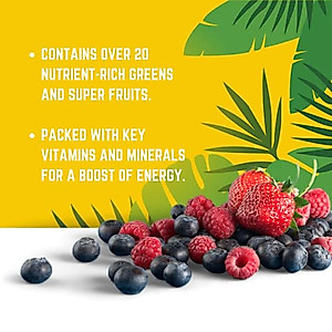 MEGAHUNES - Greens & Reds Immune Support - Dietary Supplement - with Prebiotics and Enzymes - for Immune System Support, Energy, and Digestion - Organic & Gluten-Free - Mixed Berry - 35 Servings