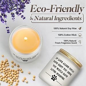 Pet Memorial Gifts for Loss of Dog Cat, Sympathy Gift for Pets Loss, Dog Bereavement Gift, Cat Memorial Candle, Remembrance Gift in Memory of Dog, Passing Away Condolence Present for Friends Pet Owner