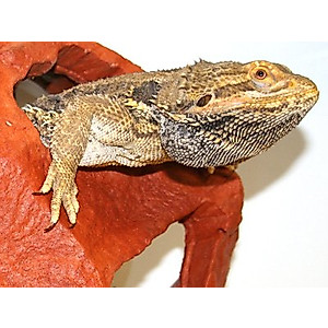 Magnaturals Large Hideaway Mojave - Magnetic Decor