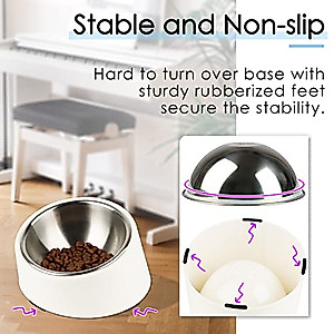 SuperDesign Mess Free 15° Slanted Bowl for Dogs and Cats, Tilted Angle Bulldog Bowl Dog Feeder, Non-Skid & Non-Spill, Easier to Reach Food S/0.5 Cup White