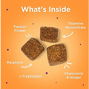 First Impressions Tranquilitreats - Calming Chews for Dogs, Anxiety Relief for Dogs - Packed with Chamomile, Ginger, Melatonin - Soft, Tasty, Chill-Out Calming Dog Treats - 60 ct