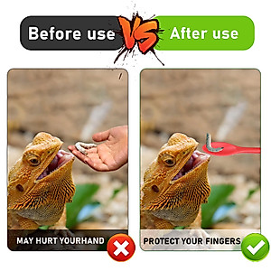 ZEYIYER 2Pcs Crested Gecko Food Mixing Spoon, Silicone Gecko Feeding Spoon, Long Handle Food Feeding Spoons for Reptile Lizard Gargoyle Bearded