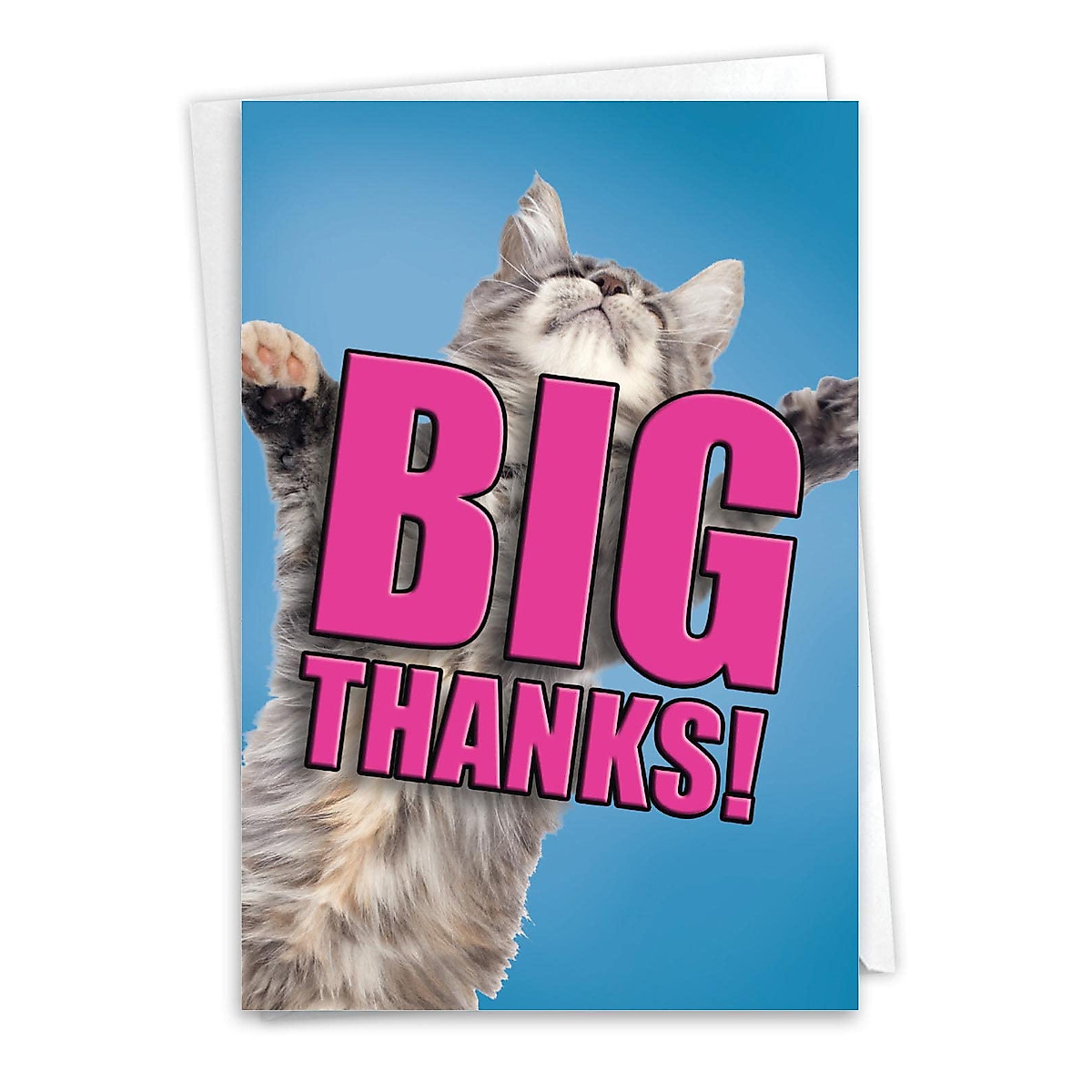 NobleWorks Birthday Thank You Paper Card with 5 x 7 Inch Envelope (1 Card) Cat Big Thanks C2368DTBG