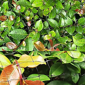 Fafaland Bird Netting 7X100 Feet for Garden Protection, Temporary Reusable Fence Barrier Anti Birds, Flexible Plastic Trellis Netting for Vegetables Fruit Flowers Crops Fence Cover. (7'x100')