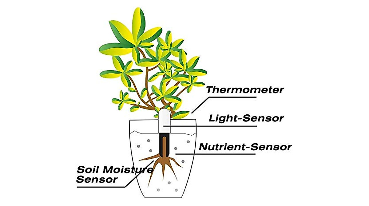 WANFEI Smart Plant Monitor | Accurate Soil & Environment Tracking