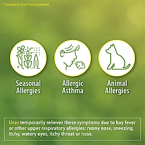 HealthA2Z® Allergy Relief | Cetirizine 10mg | All Day Allergy Relief | Indoor & Outdoor | Relief from Itchy Throat, Sneezing, Runny Noses (250 Count (Pack of 1))