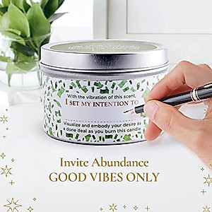 Magnificent 101 Manifesting More Money Than I Can Spend Tin Candle 6oz
