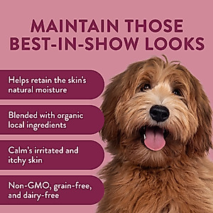 INK MAFIA HolistaPet Dog Skin and Coat Supplement - Dog Vitamins, Dog Allergy Relief Chews 30ct