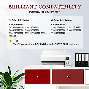 PGI-280XXL/CLI-281XXL Compatible Ink Cartridges for Canon Ink 280 and 281 Cartridge for Canon Pixma TR8620 TR7520 TR8520 TS6120 TS6220 TS6320 TS8120 TS9120 (12 Pack)