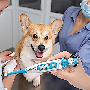 Thermometer for Adults Children Pets, Oral Armpit Rectal, Dog and cat (Frog)