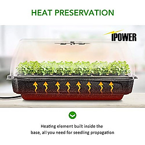 iPower Heating Seed Starter Germination Kit Seedling Propagation Tray with Heater and 5in Vented Humidity Dome, 1-Pack, Black&Transparent