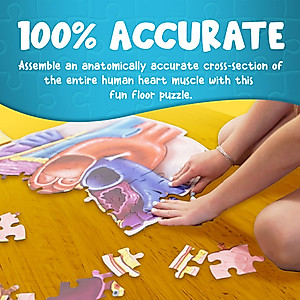 Human Heart Anatomy Floor Puzzle — Genius Games Doctor Livingston Jr Anatomy Toy - Kids Puzzles & Science Toys - Human Heart Anatomy Model - 100 Piece Jigsaw Puzzles for Kids, Toddlers, Teens