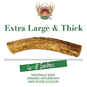 Deer Valley Dog Chews (XL Single, 6-8 Inches) Premium Deer Antler Dog Chew - Long Lasting Dog Bone for Large Breeds and Aggressive Chewers