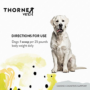 ThorneVet Canine Cognitive Support Powder for Dogs - Great Tasting Health Supplement with B Vitamins and Antioxidants to Support The Brain Health of Your Senior Dog - 90 Scoops