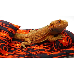 Chaise Lounge for Bearded Dragons, Flames Fabric